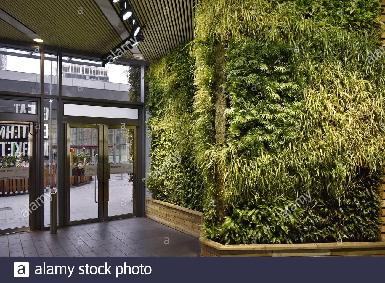 Plants Corridor Stock Photos & Plants Corridor Stock Images - Alamy