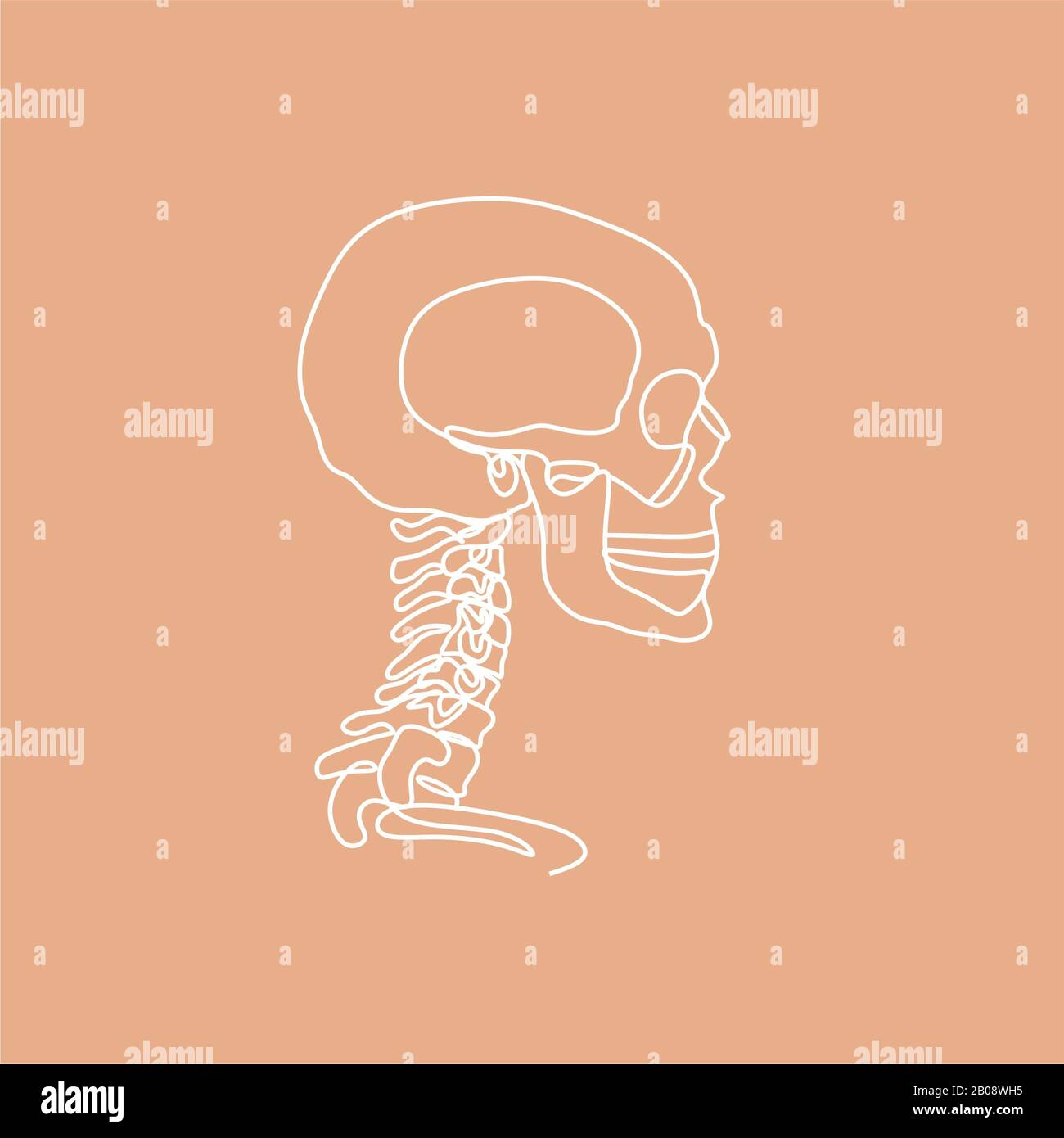 skull line illustration. Line art people body. minimalist medical print ...