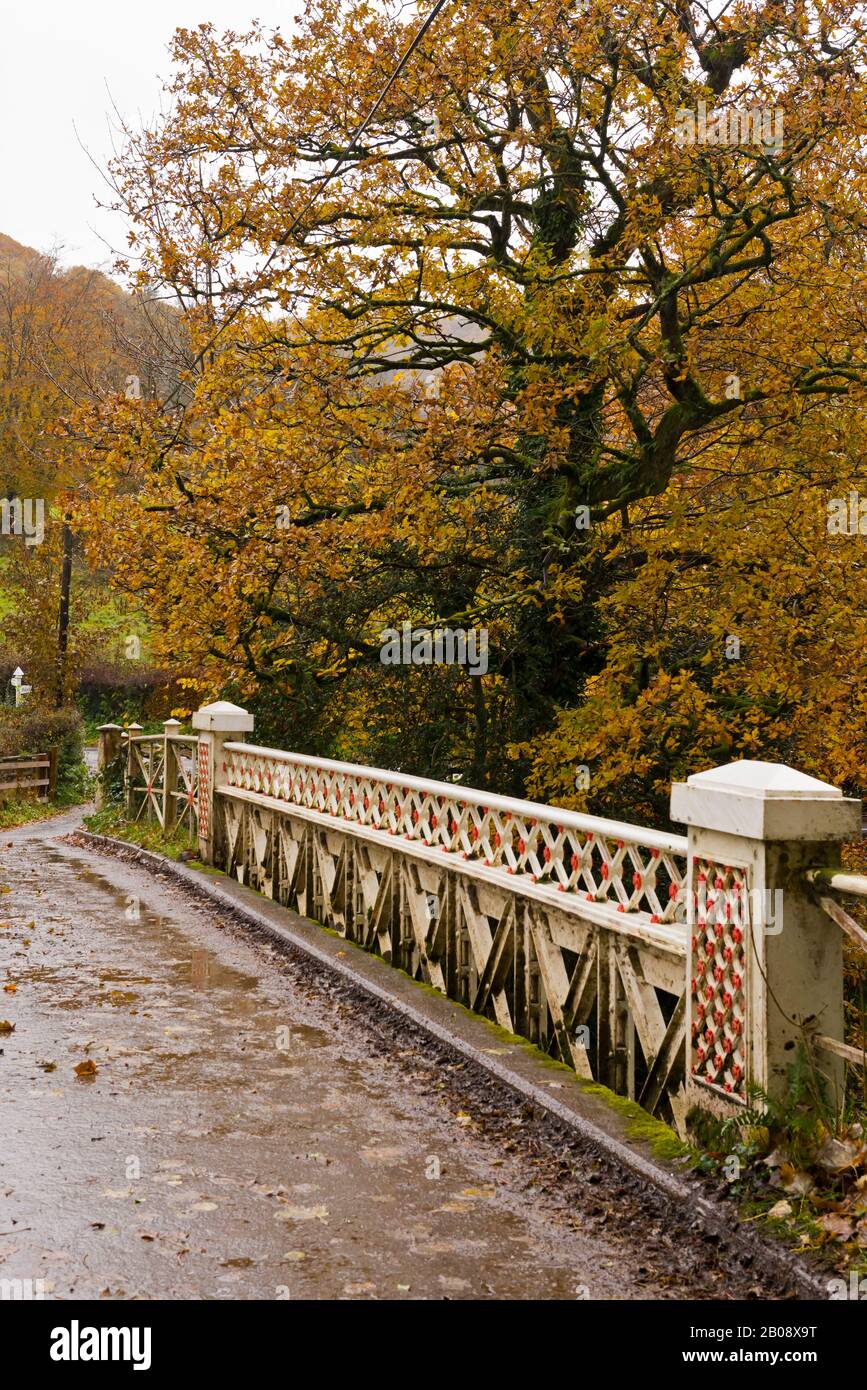 18th century wrought iron Marsh bridge over the River Barle just north ...