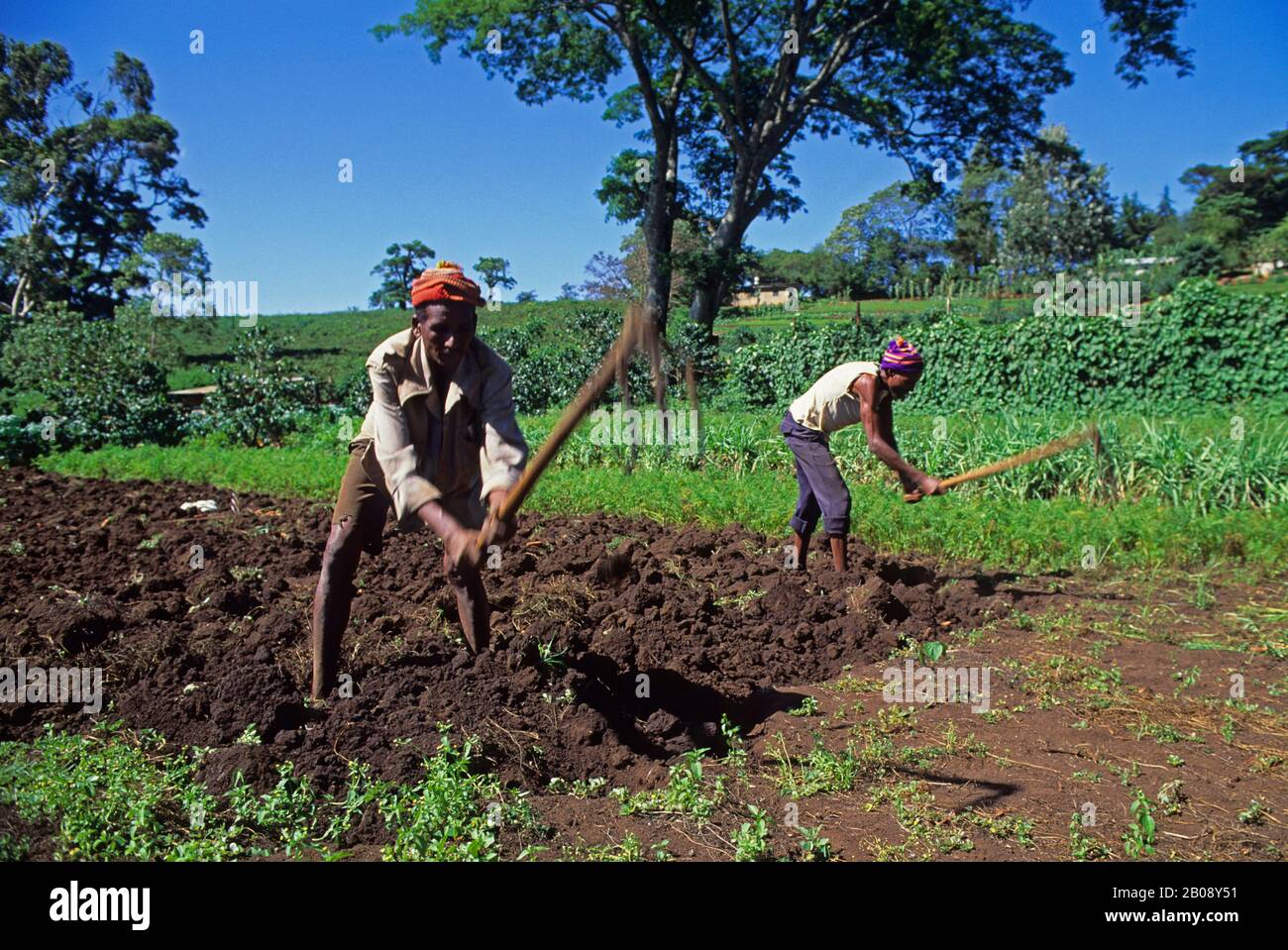 Men working the fields hi-res stock photography and images - Alamy