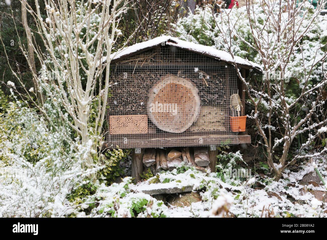 Nesting and wintering aid for insects hi-res stock photography and ...
