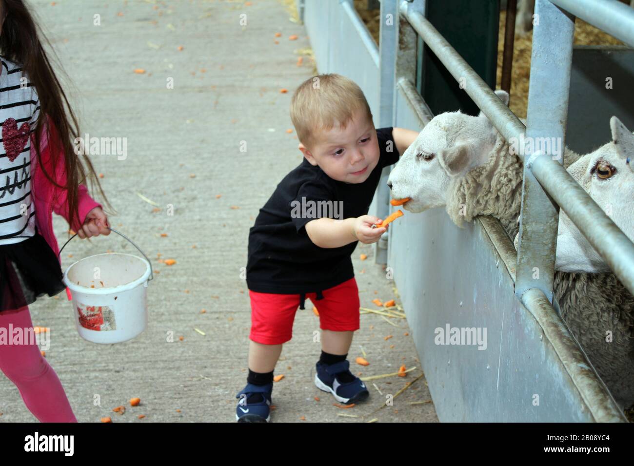 a day at the farm Stock Photo - Alamy