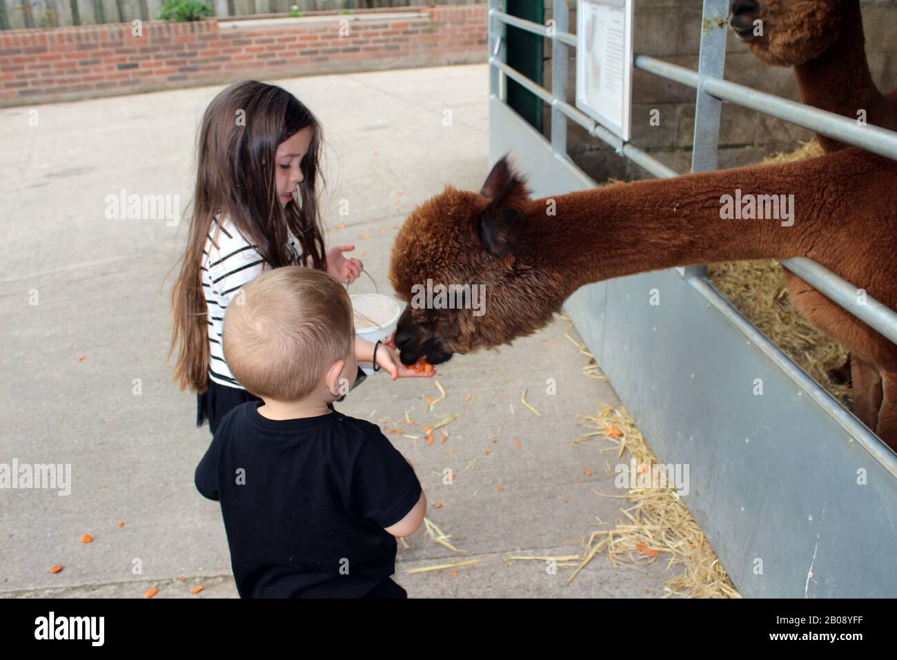 a day at the farm Stock Photo - Alamy