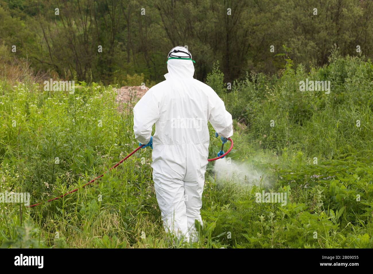 Outdoors pest hi-res stock photography and images - Alamy