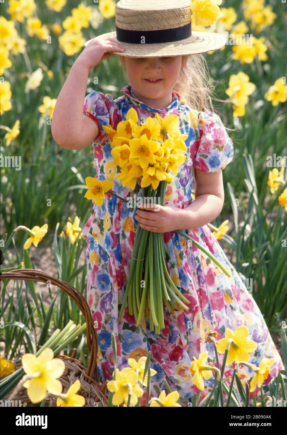 Young girl in floral dress and straw boater collecting daffodills Stock ...