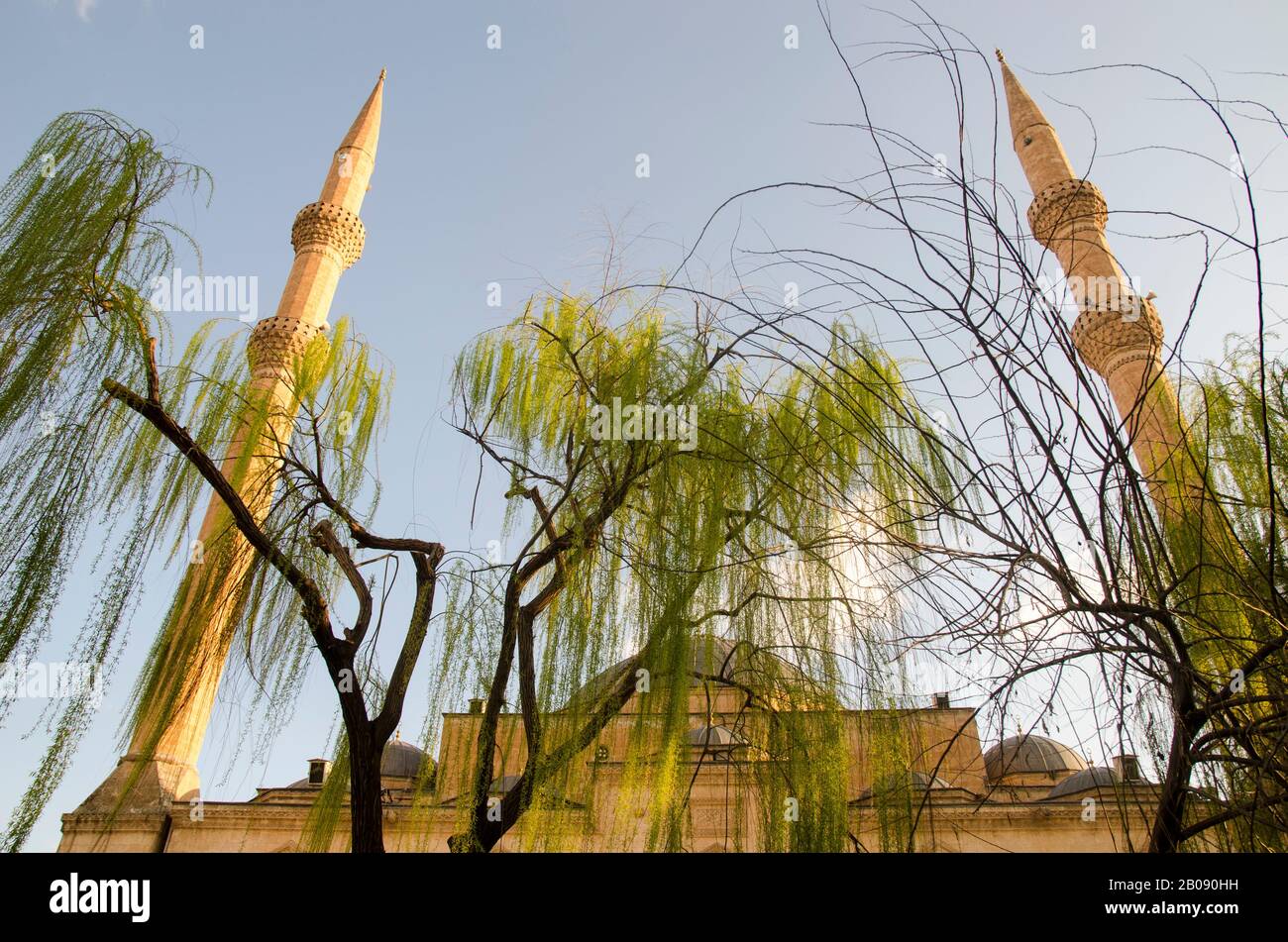 Mosque and Tree Stock Photo - Alamy
