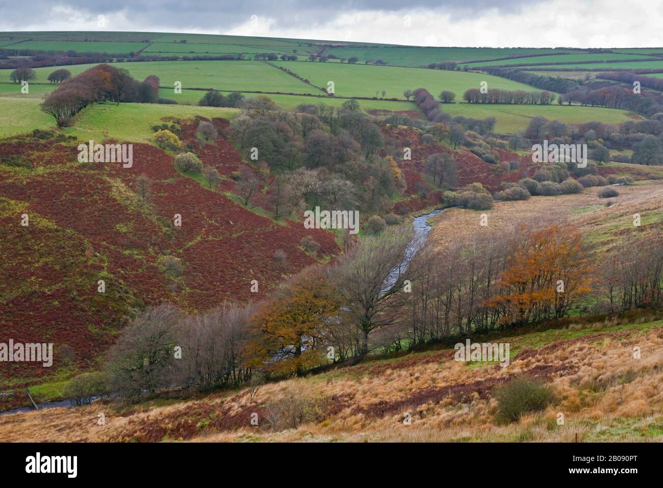 Barle valley simonsbath hi-res stock photography and images - Alamy