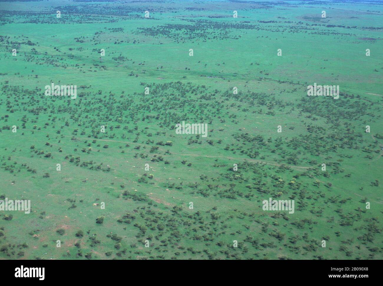 Masai mara aerial hi-res stock photography and images - Alamy