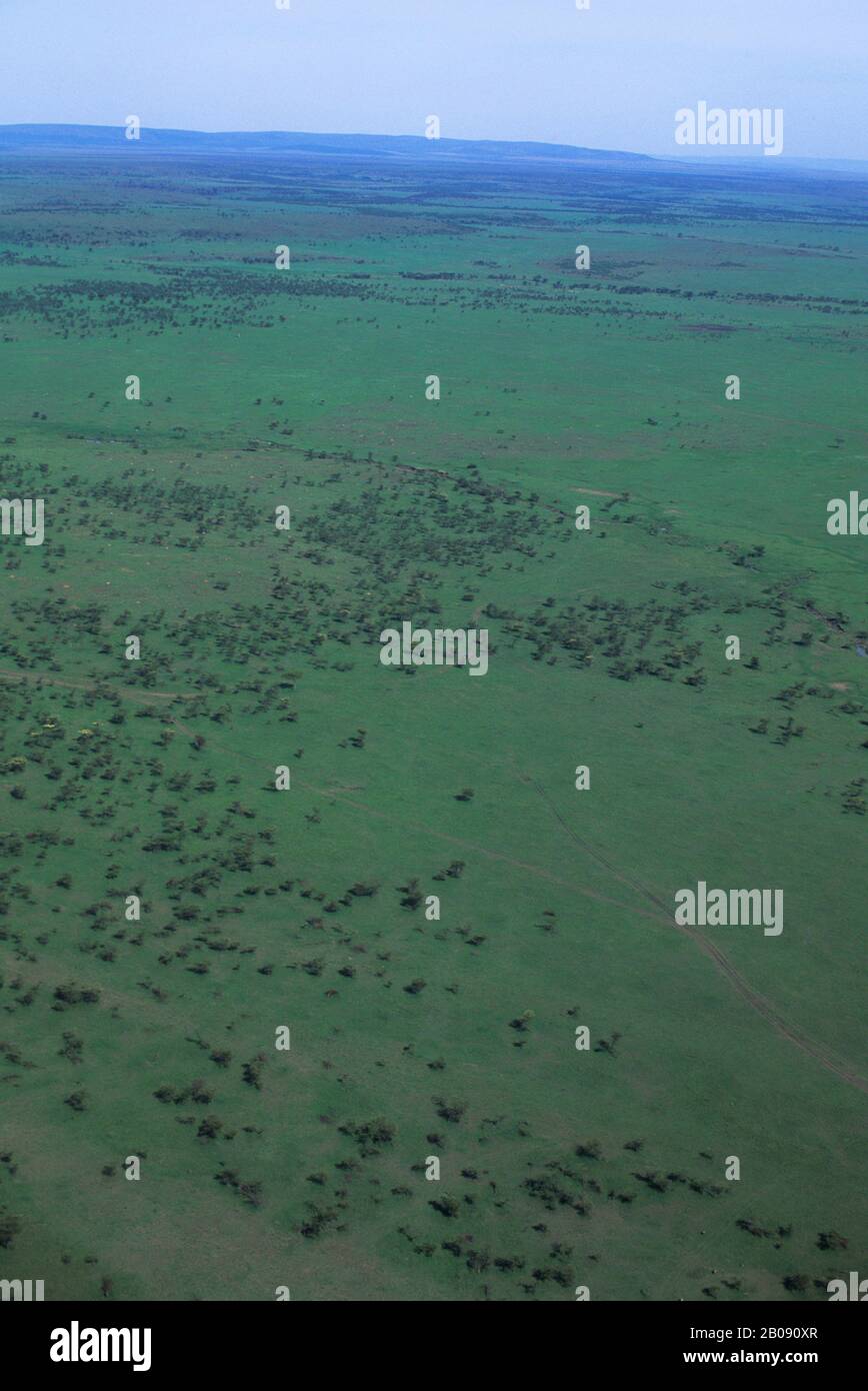 Masai mara aerial hi-res stock photography and images - Alamy