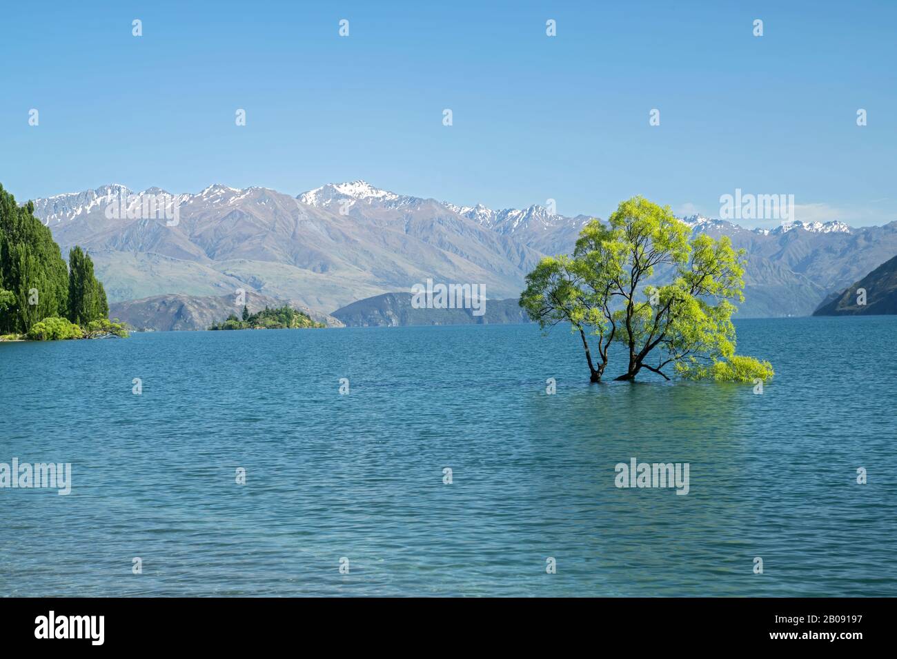 Most photographed tree hi-res stock photography and images - Alamy