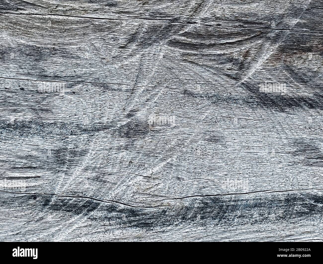 Natural wood, wood cut, aged wood, cracks from time and weather. Brown ...