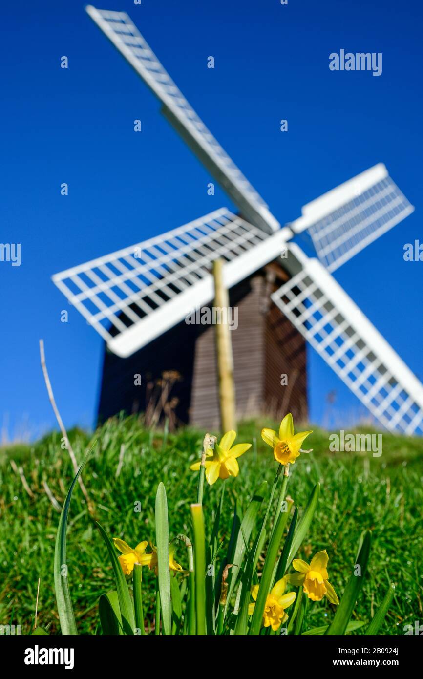 Brill Windmill: Old wood and brick windmill on a hilltop in the English ...