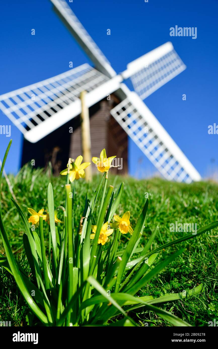 Brill Windmill: Old wood and brick windmill on a hilltop in the English ...