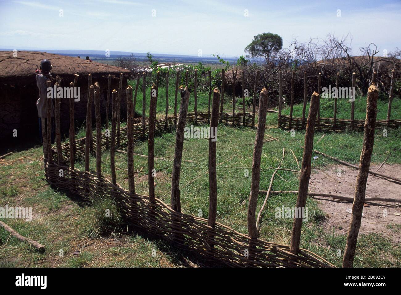 KENYA, MASAI MARA, MASAI VILLAGE, TRADITIONAL HOUSE UNDER CONSTRUCTION ...