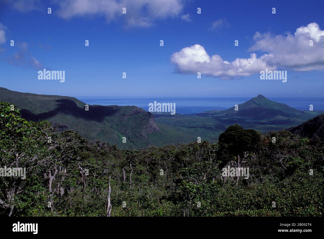 MAURITIUS, OVERVIEW OF ISLAND WITH NATIVE FOREST IN FOREGROUND Stock ...