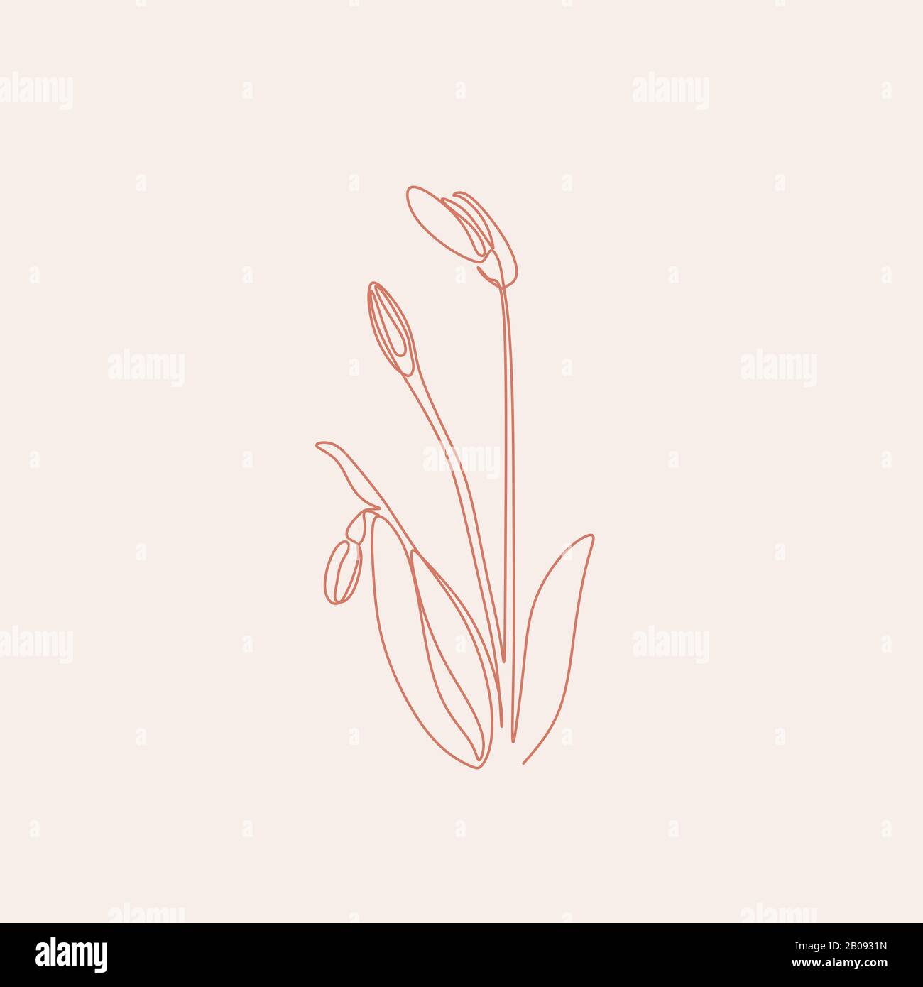 Botanical Sketch Vector Illustration. Nature vector Line drawing ...