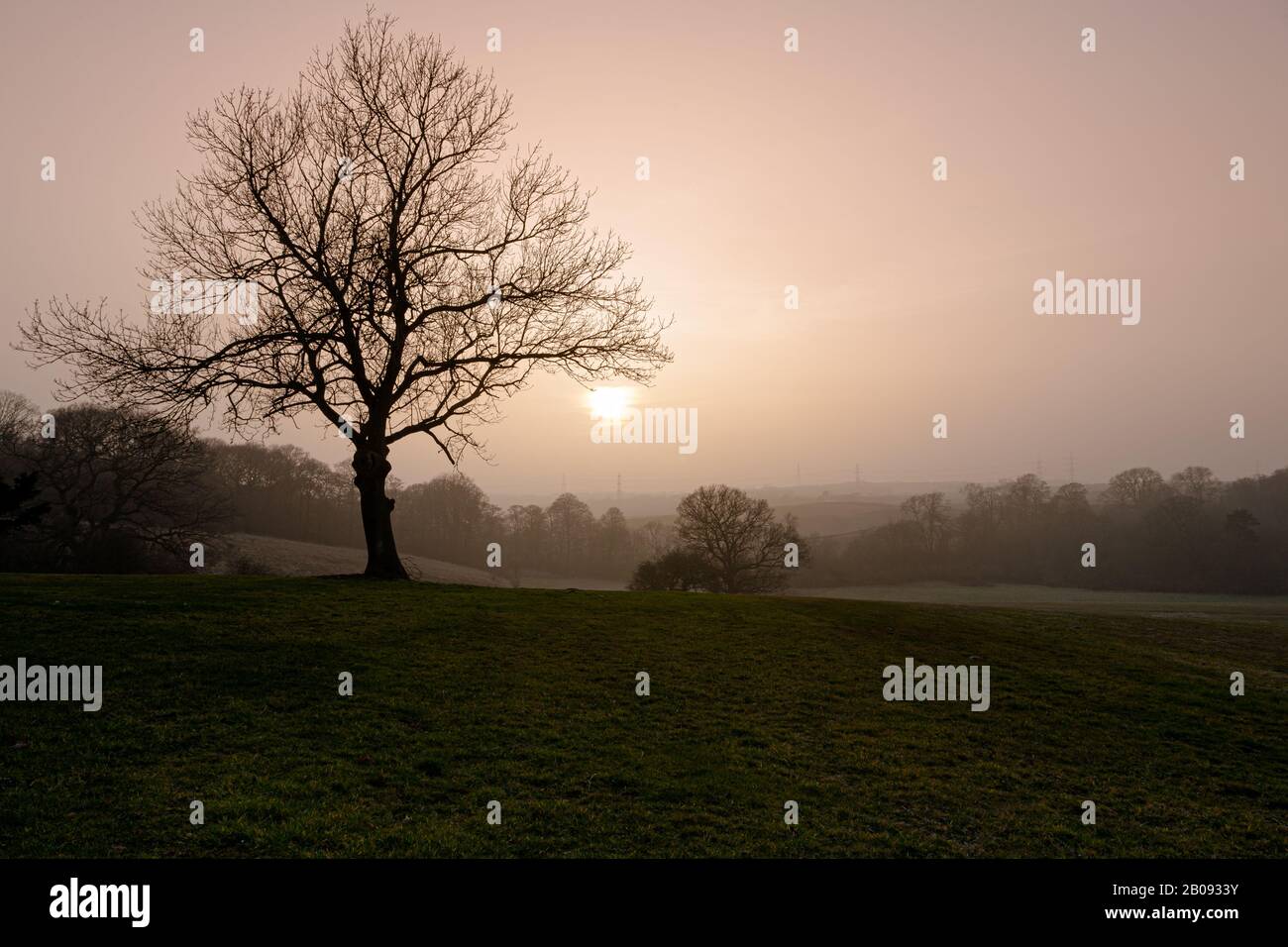 Wynyard Hall. Home of Sir John Hall and former residence of Lord and ...