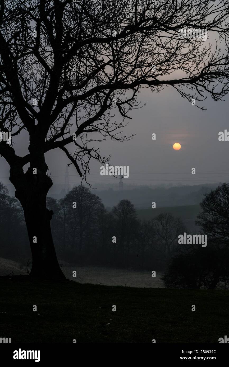 Wynyard Hall. Home of Sir John Hall and former residence of Lord and ...
