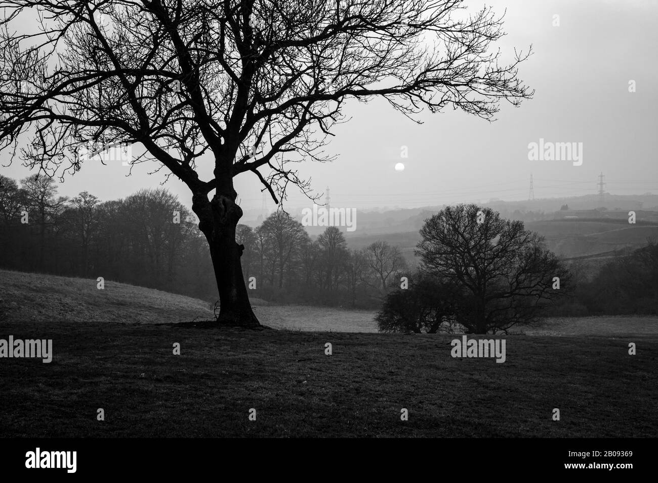 Wynyard Hall. Home of Sir John Hall and former residence of Lord and ...