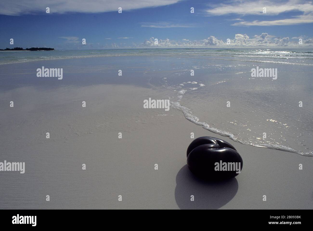 SEYCHELLES, COCO-DE-MER ON BEACH Stock Photo - Alamy