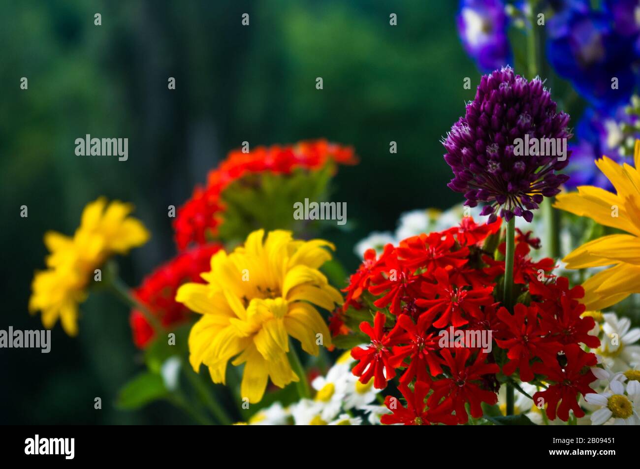 a bouquet of bright spring flowers of various types Stock Photo - Alamy