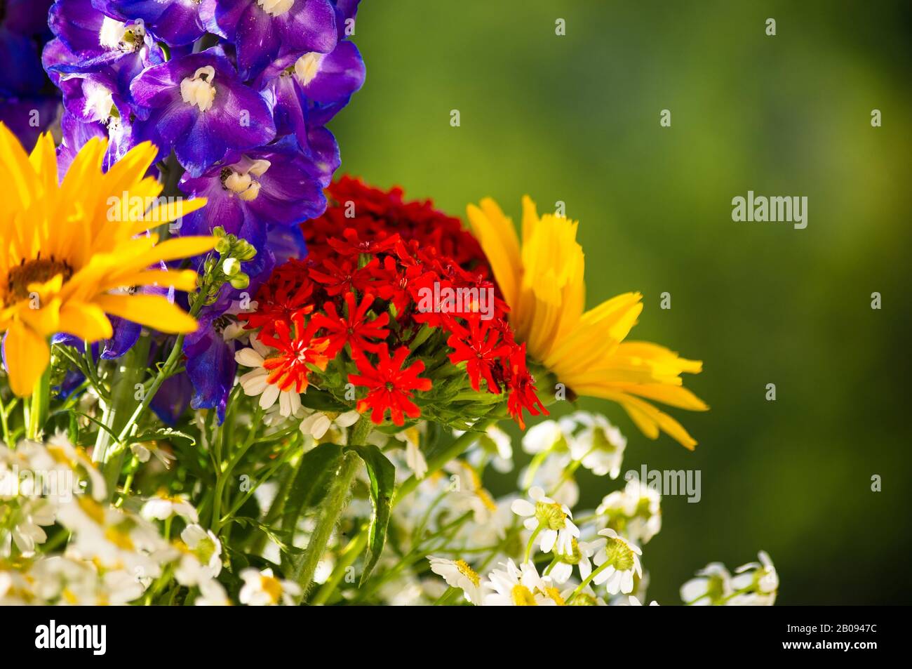 a bouquet of bright spring flowers of various types Stock Photo - Alamy