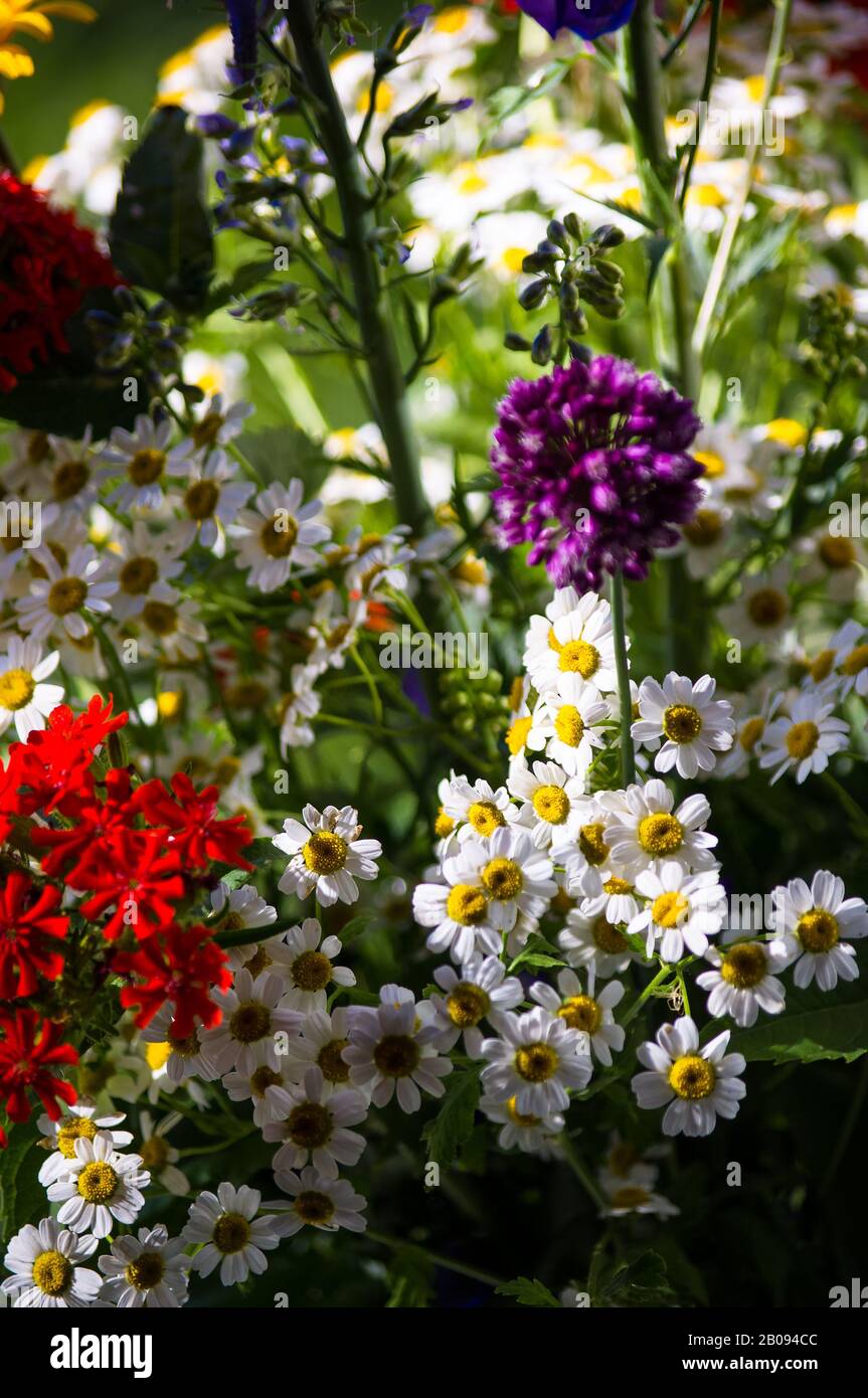 a bouquet of bright spring flowers of various types Stock Photo - Alamy