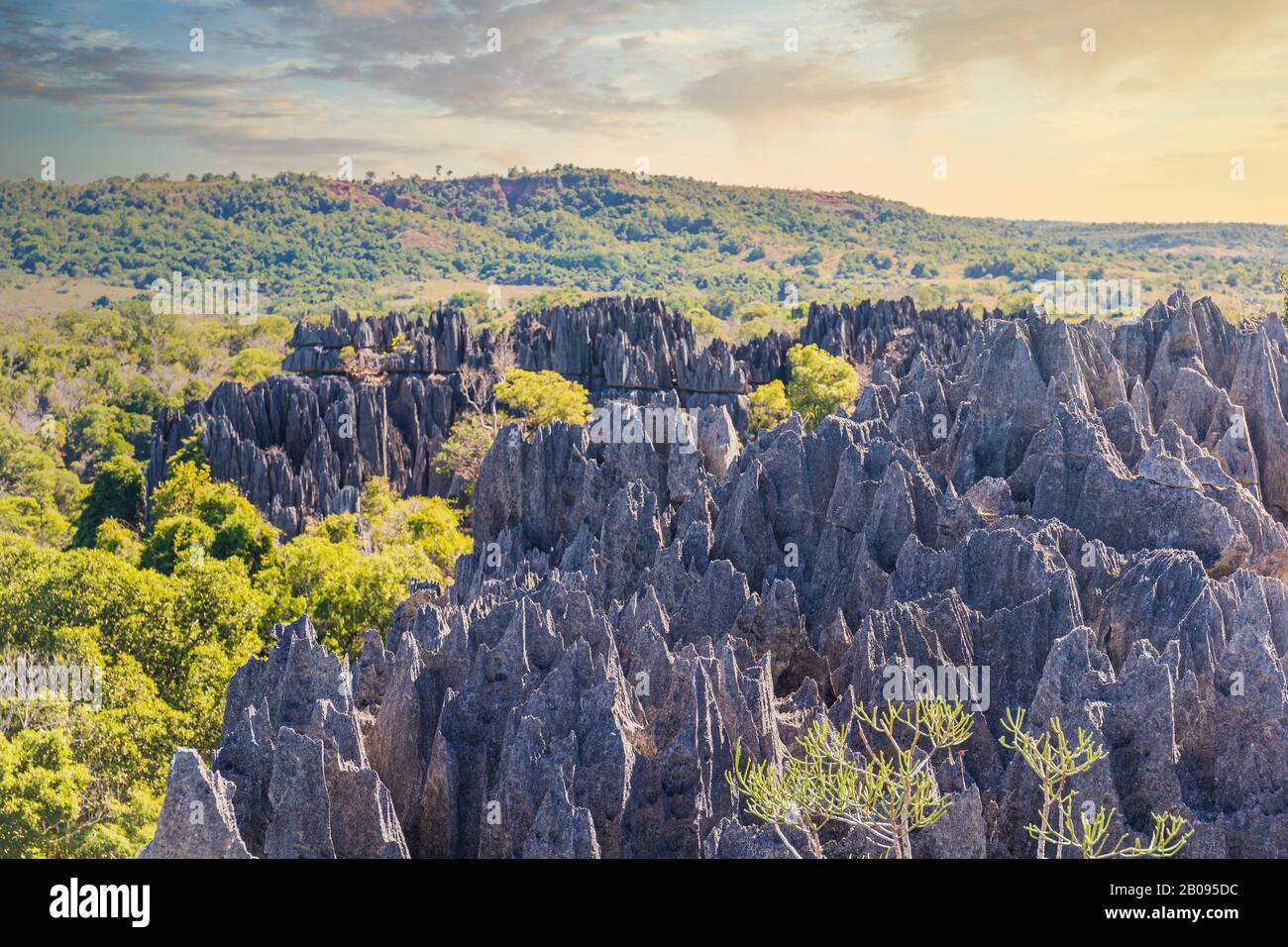 Tsingy de Bemaraha National Park, Madagascar Stock Photo - Alamy