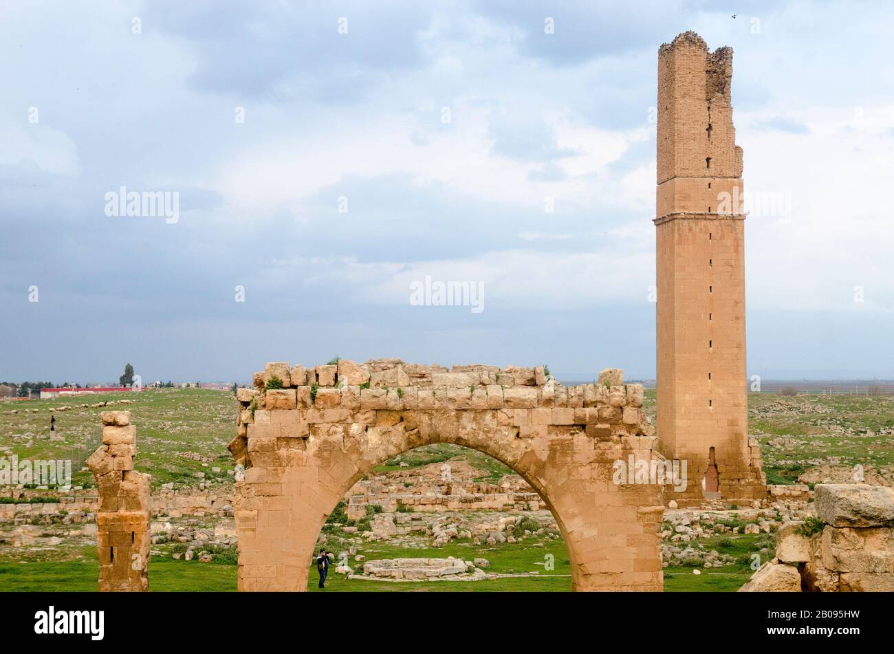 Oldest University in the World, Harran University Stock Photo - Alamy