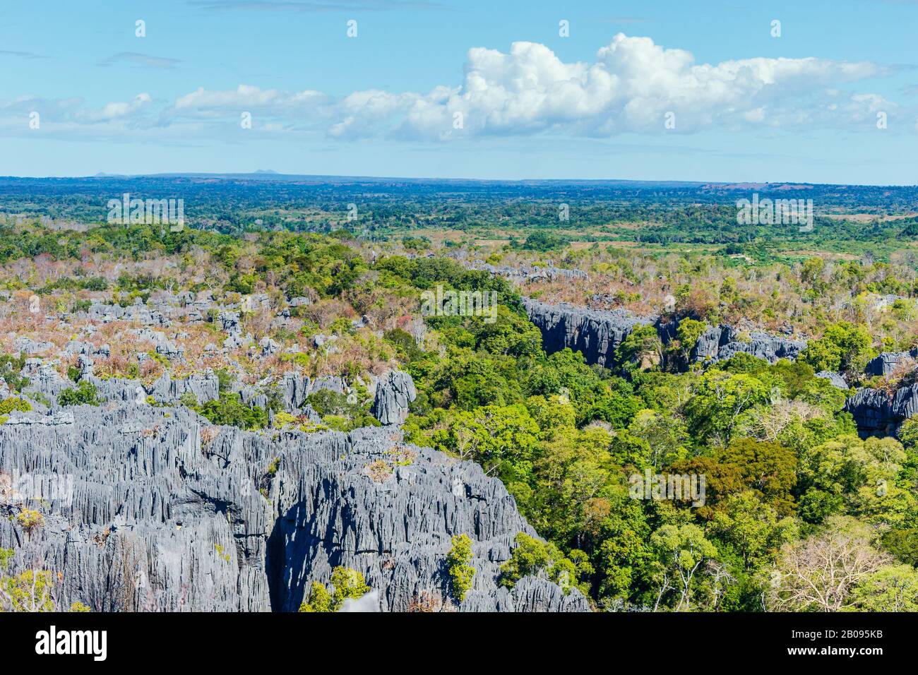 Tsingy de Bemaraha National Park, Madagascar Stock Photo - Alamy