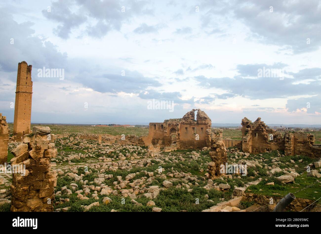Oldest University in the World, Harran University Stock Photo - Alamy