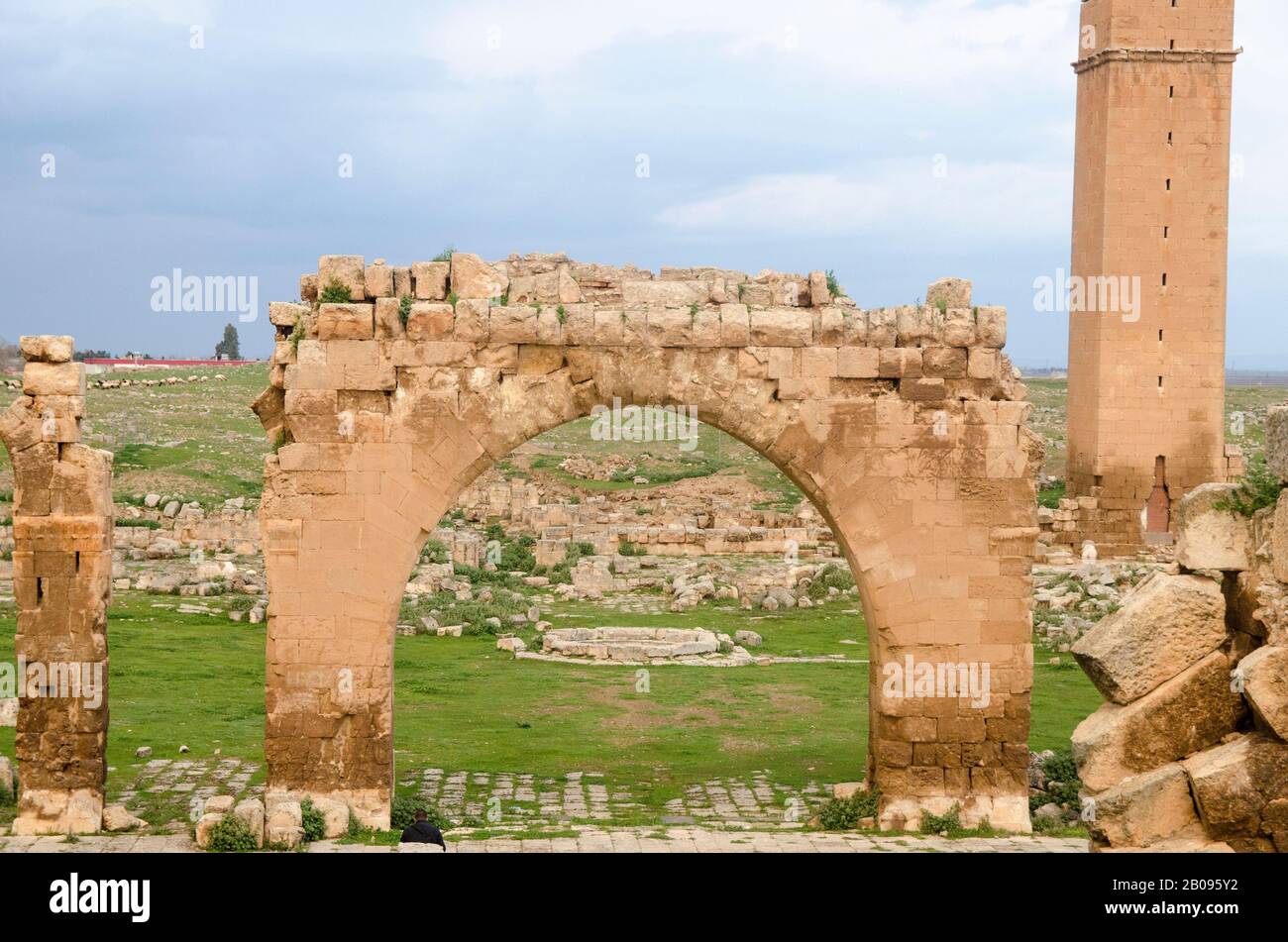 Oldest University in the World, Harran University Stock Photo - Alamy