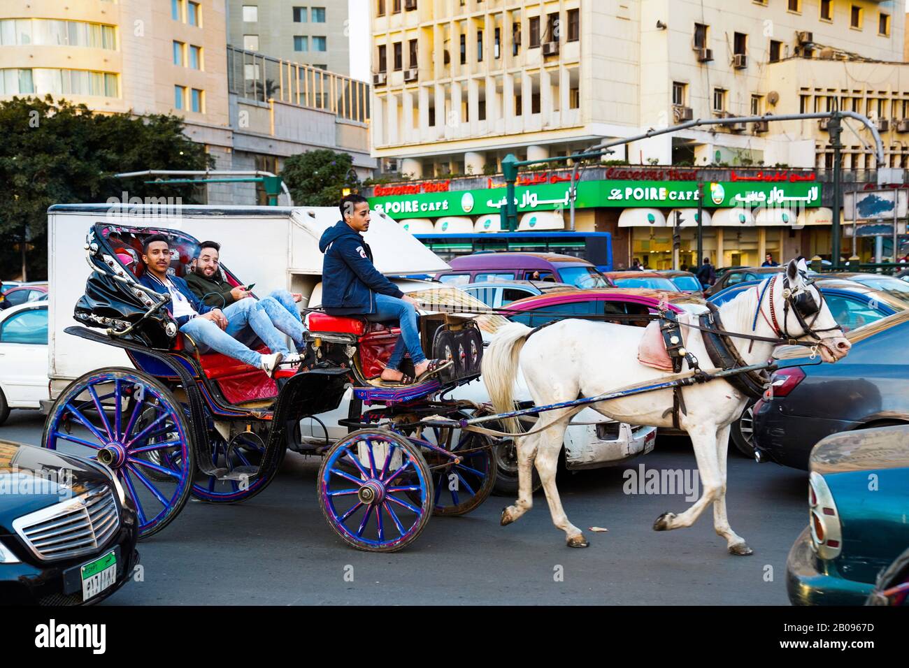 Tourists in a horse-drawn carriage stuck in evening traffic on Tahrir ...