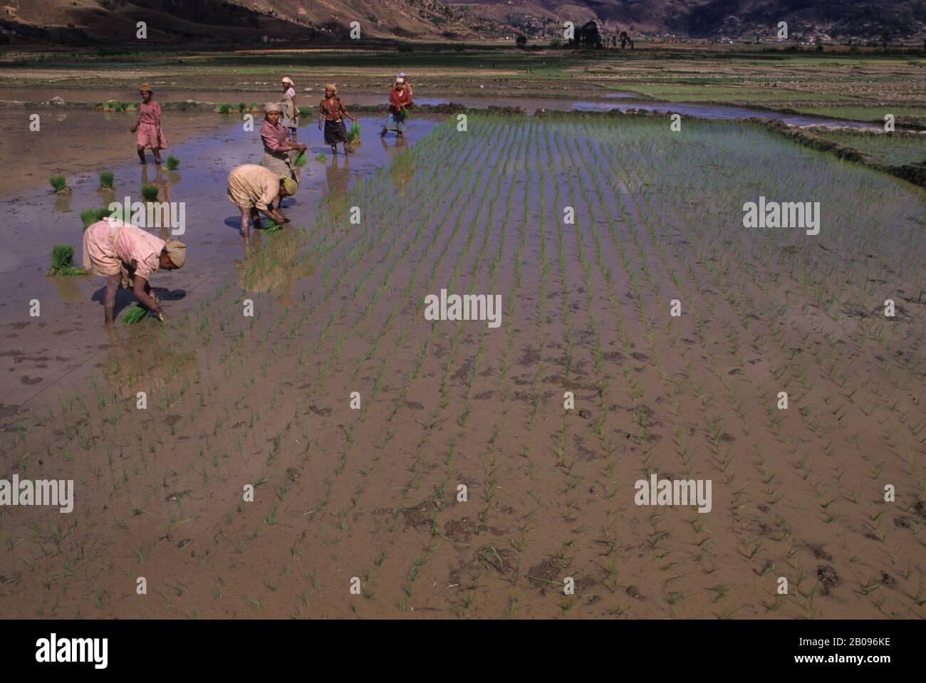 African farmers planting hi-res stock photography and images - Alamy