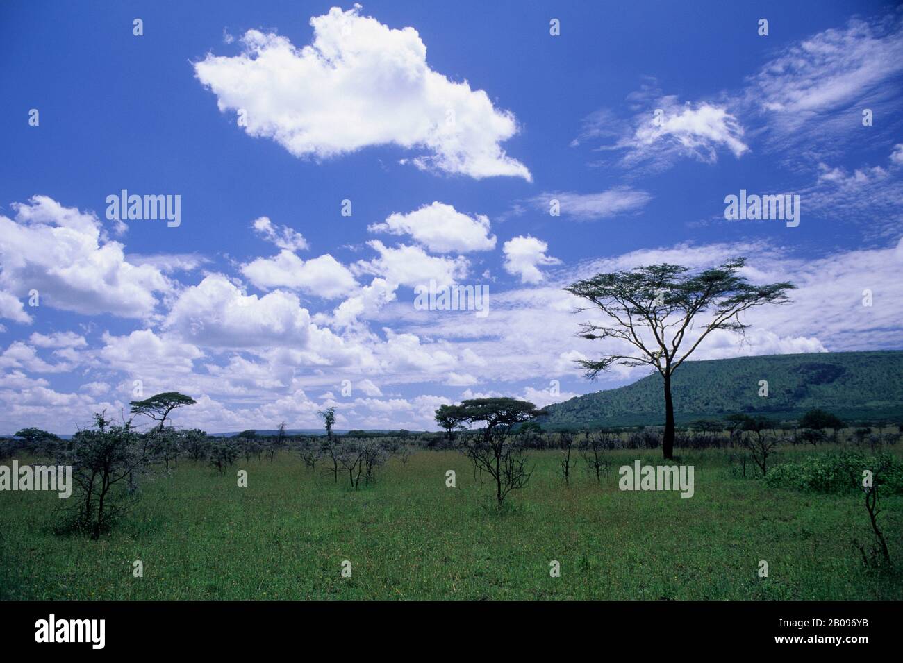 Serengeti africa landscape hi-res stock photography and images - Alamy