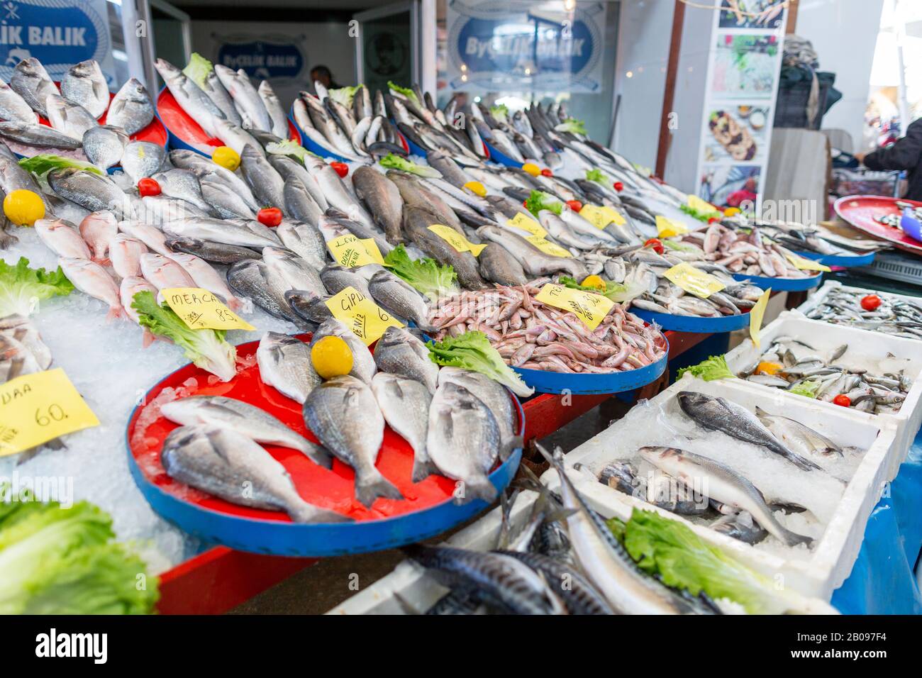 Supermarket turkey on white hi-res stock photography and images - Alamy
