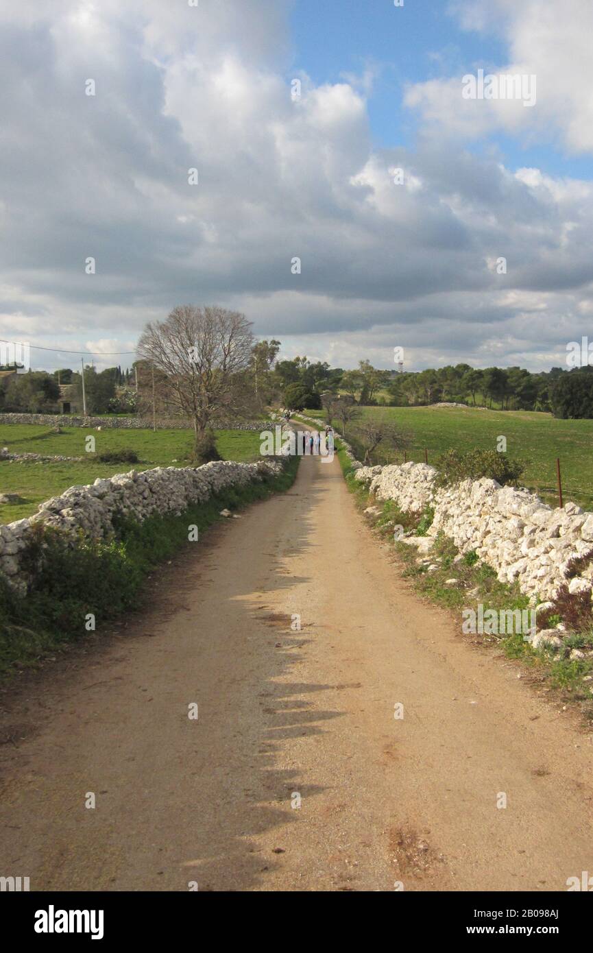 Grass heaven path hi-res stock photography and images - Alamy