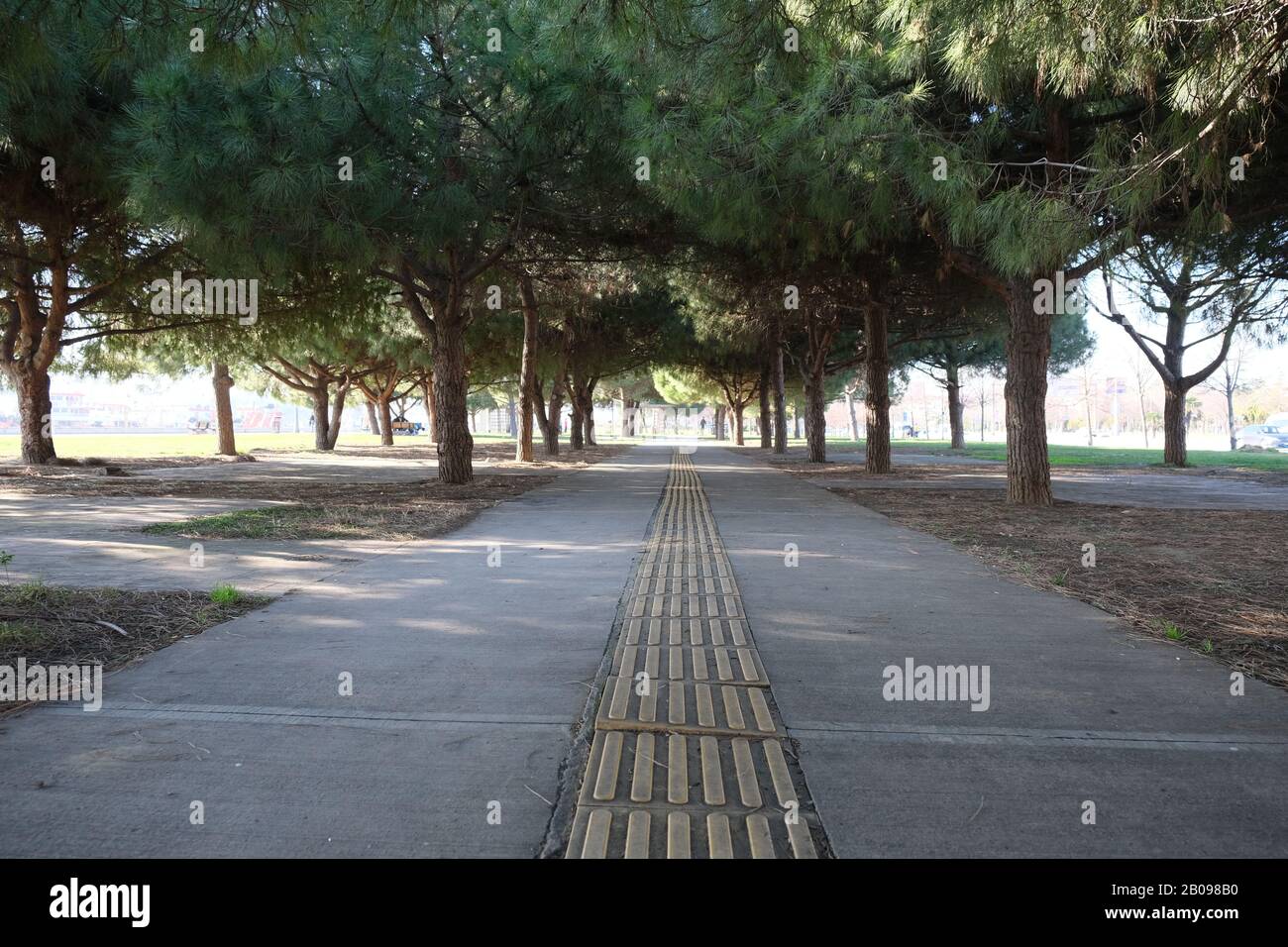 park walking path. Yellow line for the visually impaired Stock Photo ...