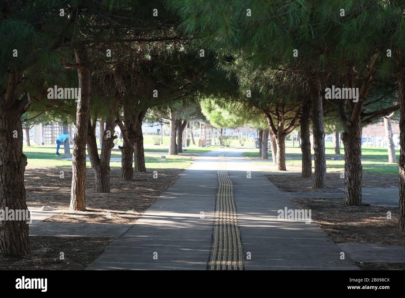 park walking path. Yellow line for the visually impaired Stock Photo ...