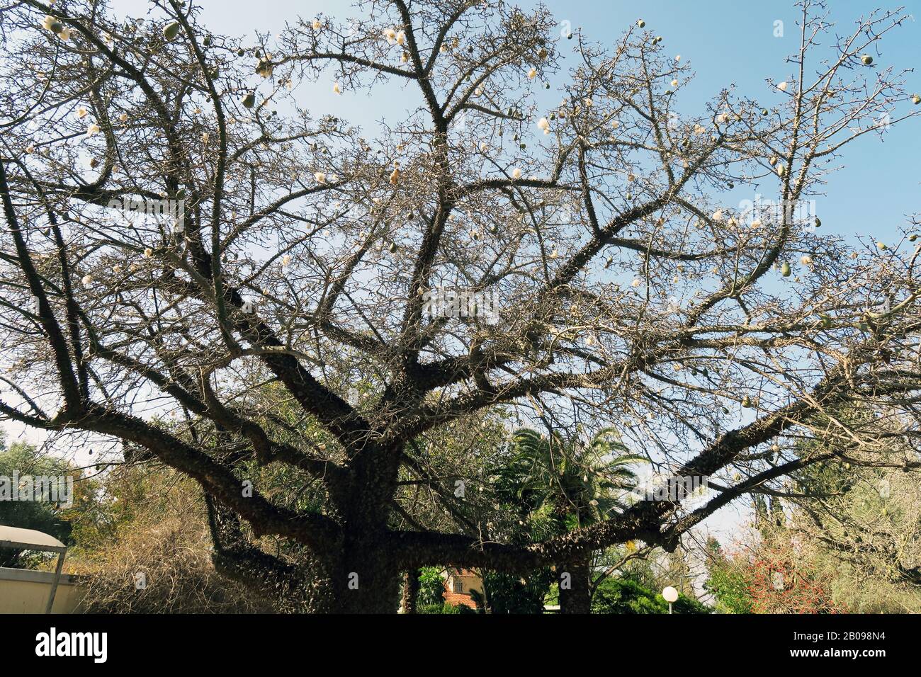 Magal kibbutz hi-res stock photography and images - Alamy