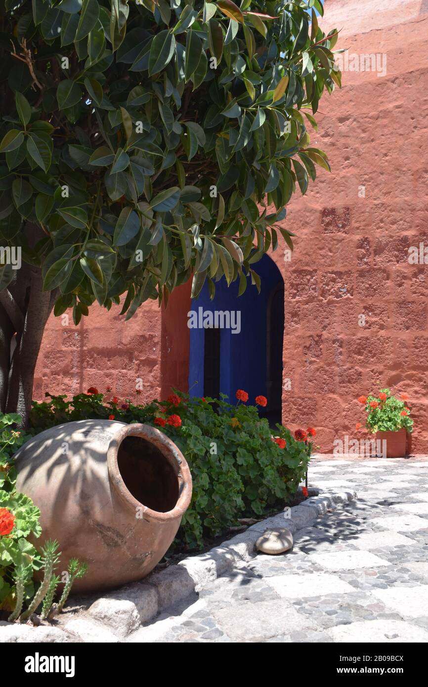 Peru pink flower hi-res stock photography and images - Alamy