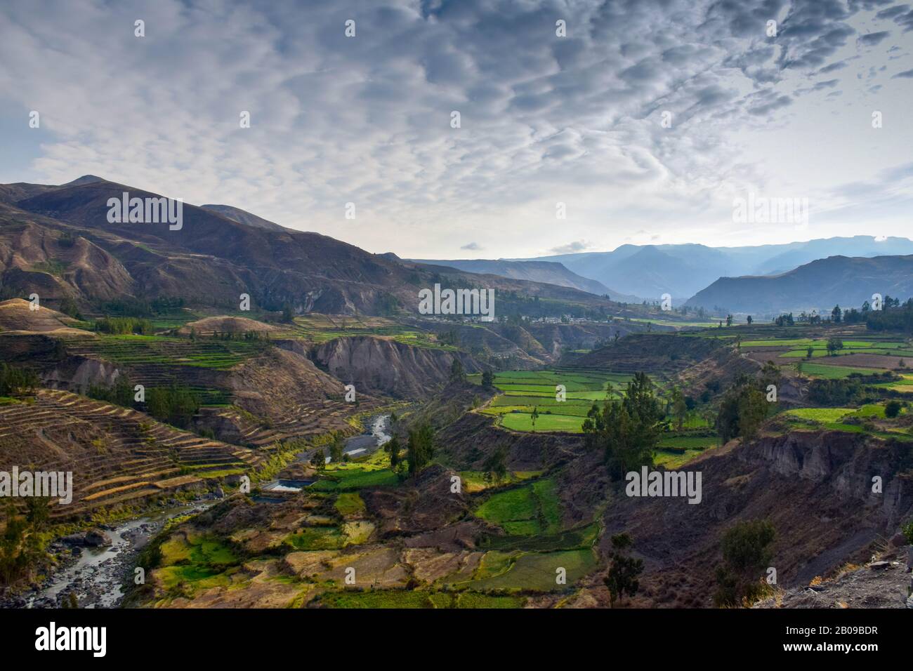 Terrace Farming High Resolution Stock Photography and Images - Alamy