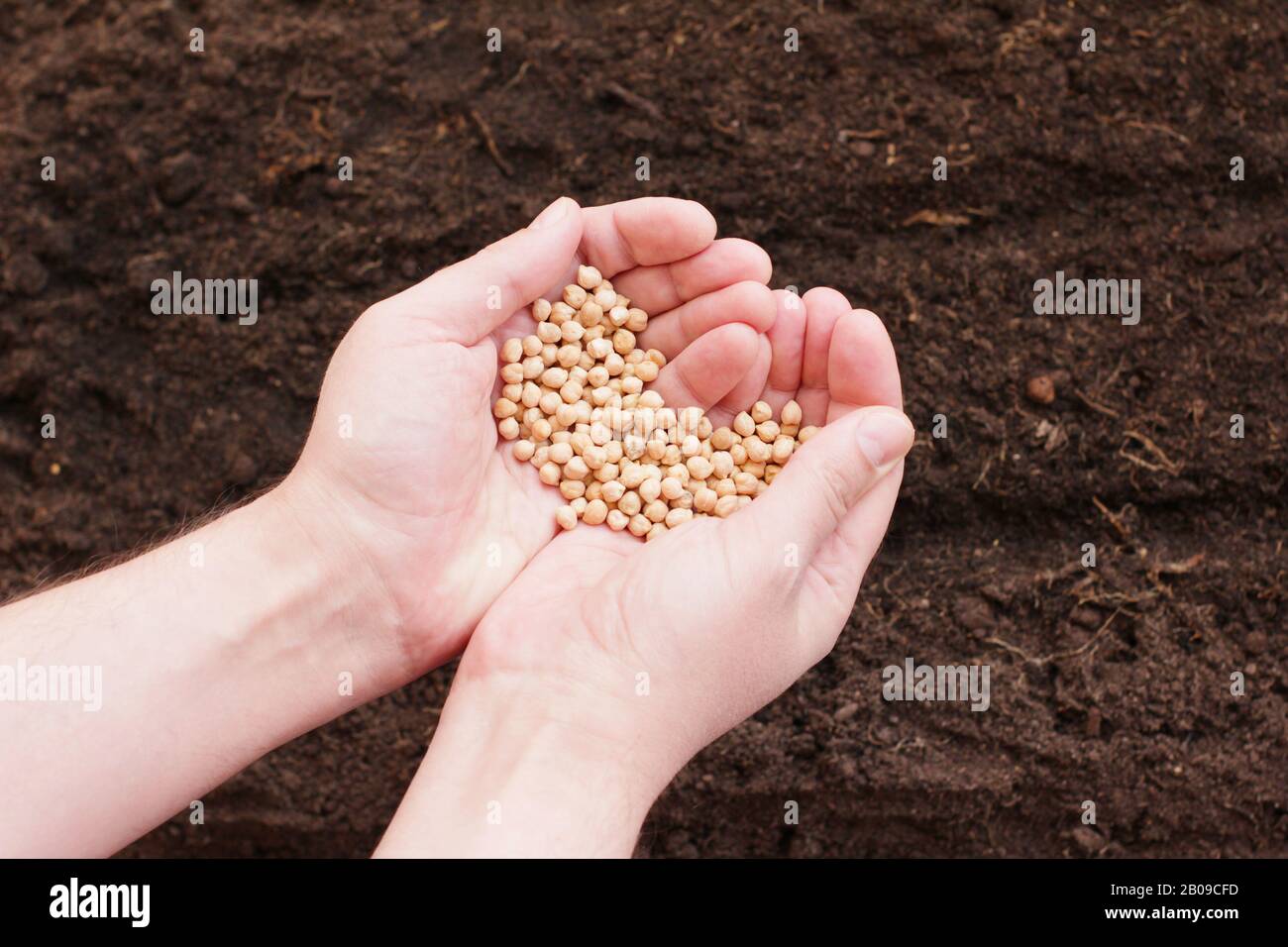 Seeding soil hi-res stock photography and images - Alamy