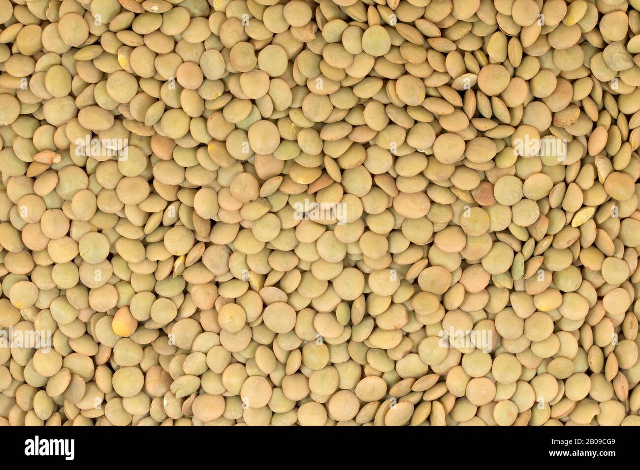 Lentils food lens culinaris hi-res stock photography and images - Alamy