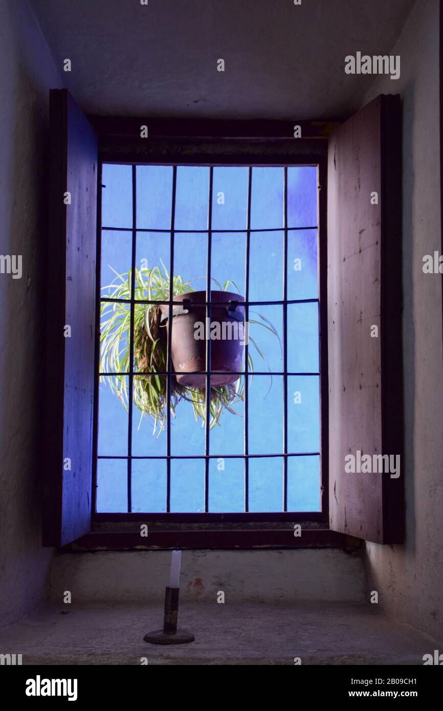 view on a pot of flowers trough a grided window in the abbey of santa ...