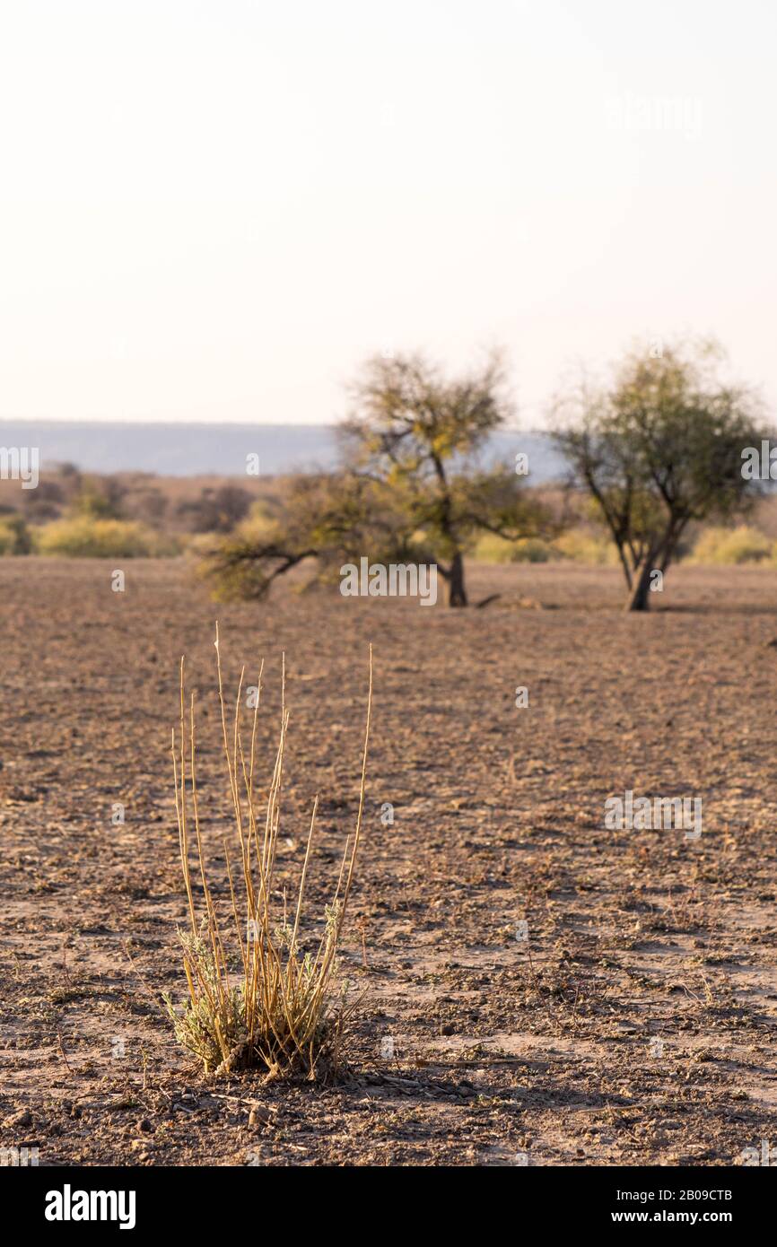 Dry Land In Africa