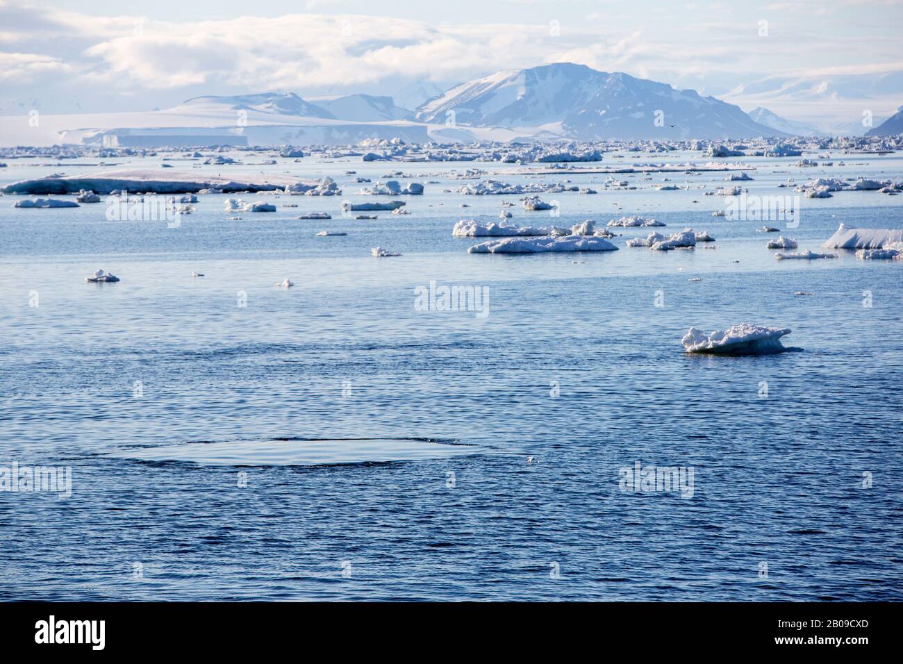 Whale Footprint High Resolution Stock Photography and Images - Alamy