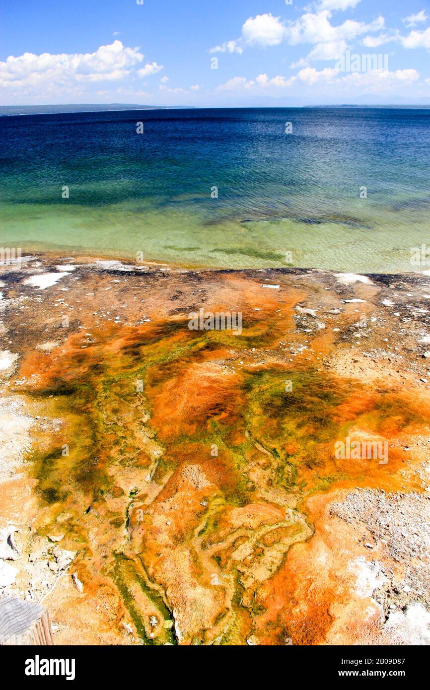 Colorful shore of lake yellowstone, yellowstone national park, wyoming ...