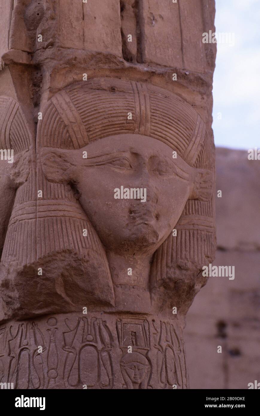 Cow ears hi-res stock photography and images - Alamy