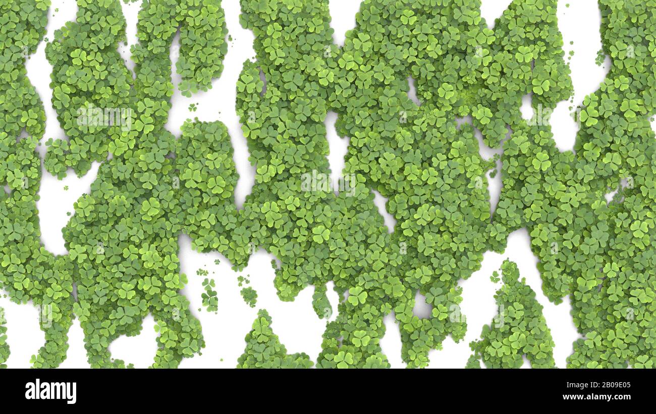 Green clover covering the screen on white background. 3D rendering ...